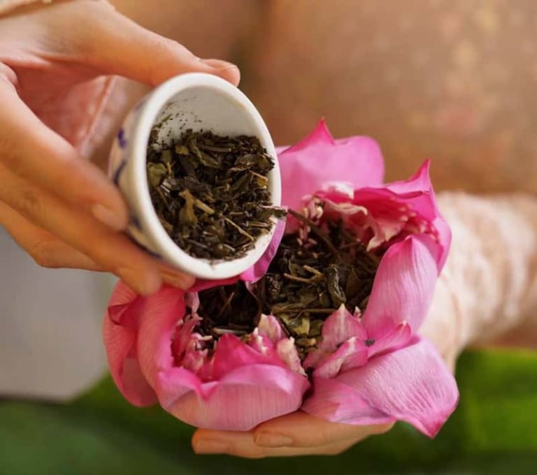 12 tác dụng của Trà Sen và trà lá sen mà bạn chưa biết