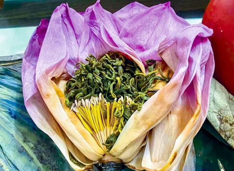 12 tác dụng của Trà Sen và trà lá sen mà bạn chưa biết