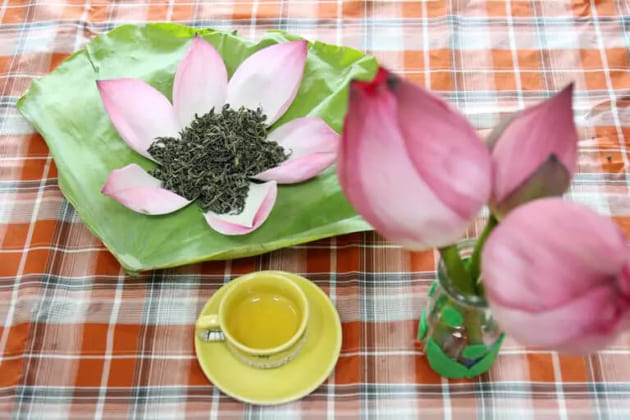 12 tác dụng của Trà Sen và trà lá sen mà bạn chưa biết