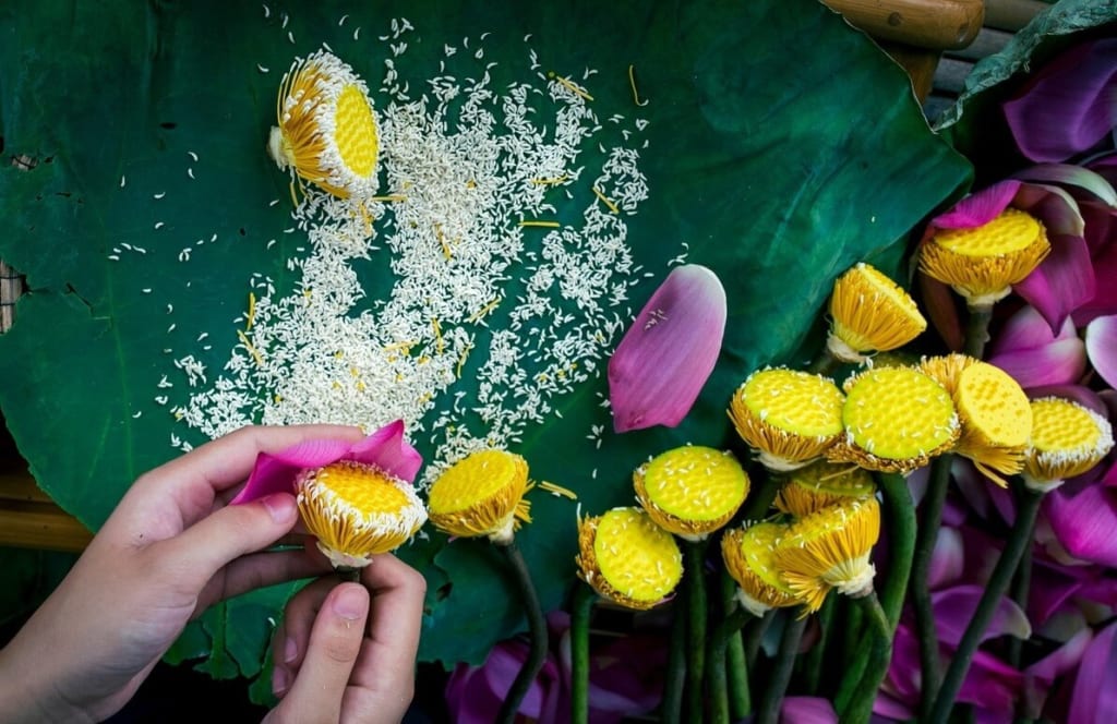 12 tác dụng của Trà Sen và trà lá sen mà bạn chưa biết